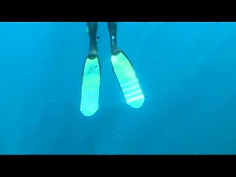 Shiny DiveR freediving fins.mpg - YouTube