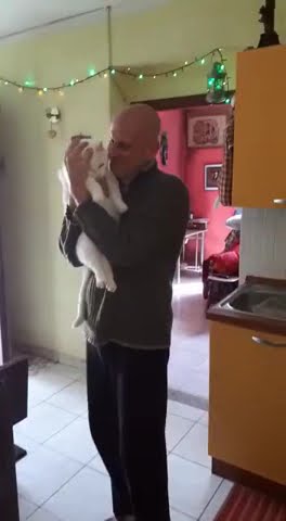 buon viaggio sky mio specialissimo amico a quattro zanpe - YouTube