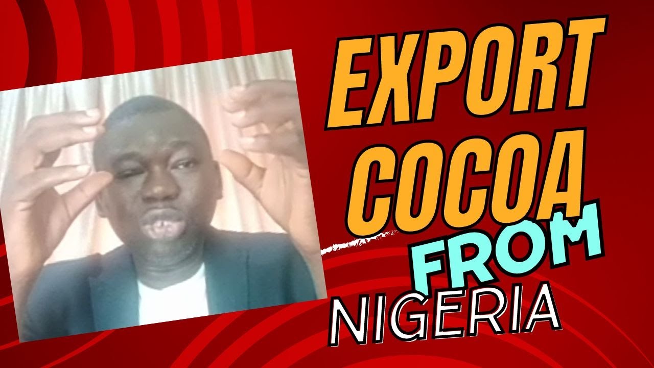 How to export cocoa beans from Nigeria - YouTube