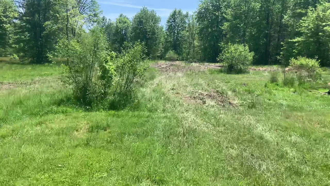 Rutted up yard - YouTube