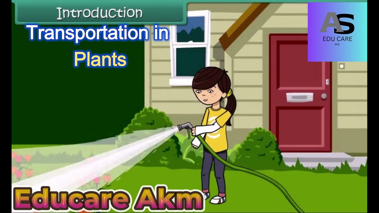 Class 7 Science | Transportation in Plants | Chapter 9 - YouTube