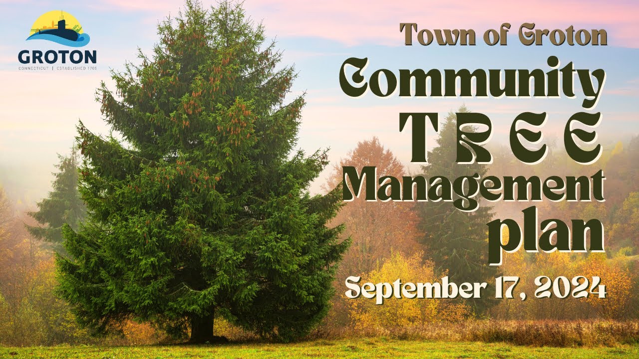 Community Tree Management Plan 9/17/24 - YouTube