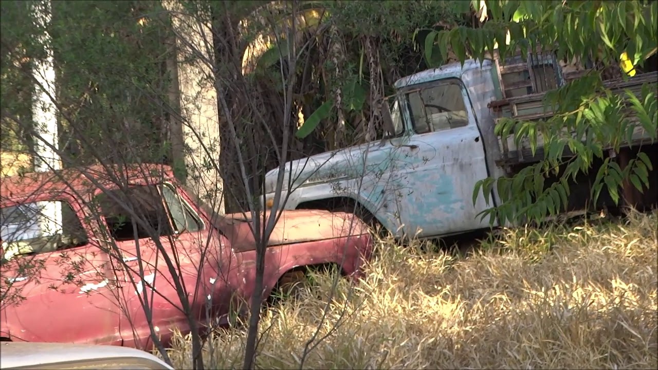 MAIOR COLECIONADOR DE CARROS BRASIL GARAGEM E GALPÃO - YouTube