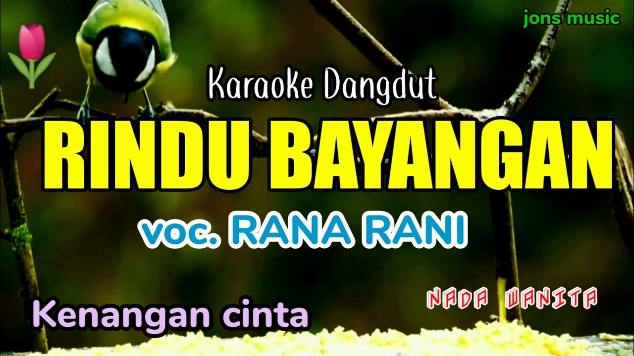 RINDU BAYANGAN || RANA RANI || KARAOKE DANGDUT || NADA WANITA ...