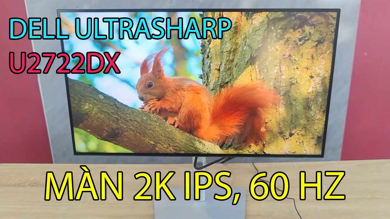 Màn hình Dell UltraSharp U2722DX 27 inch 2K 60HZ tấm nền IPS, QHD ...