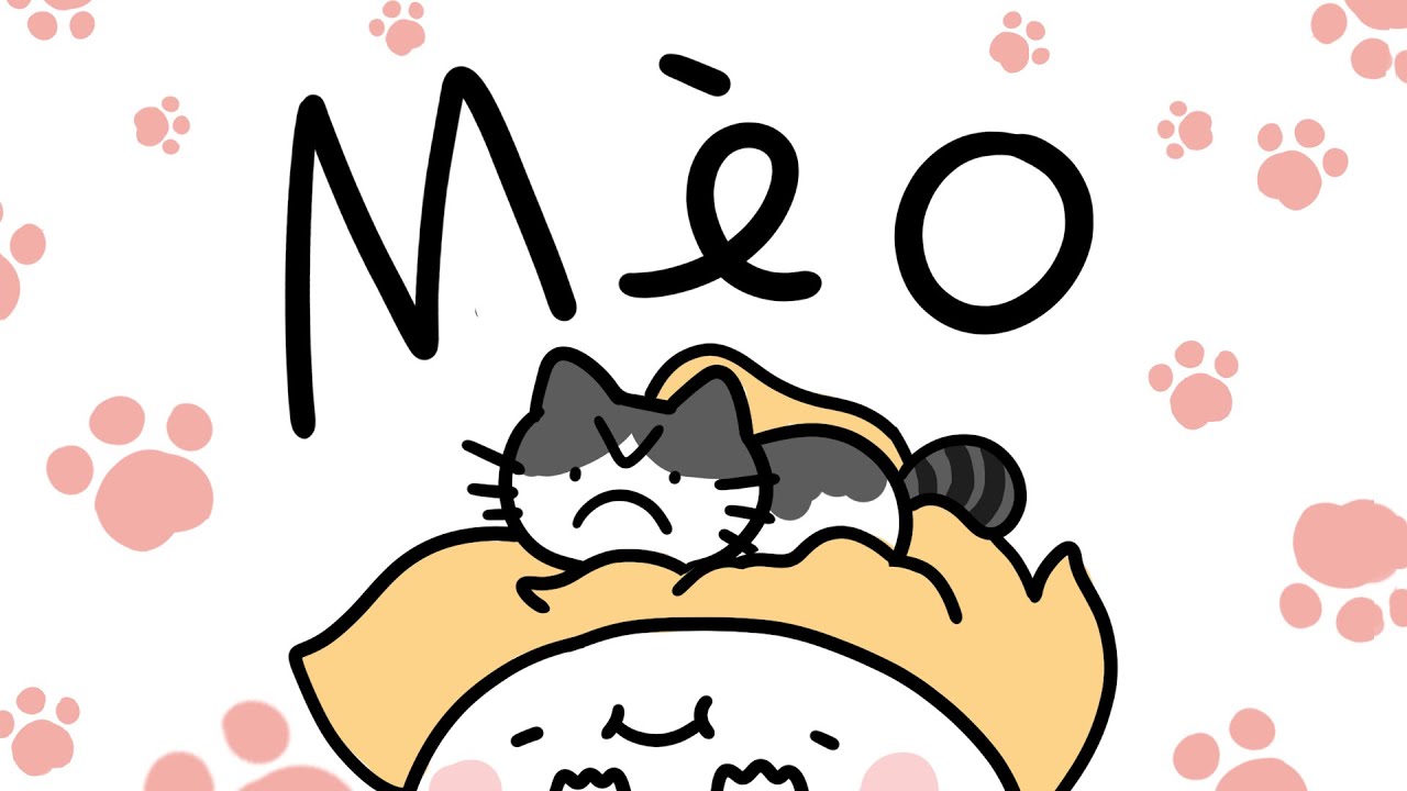 Mèo - YouTube