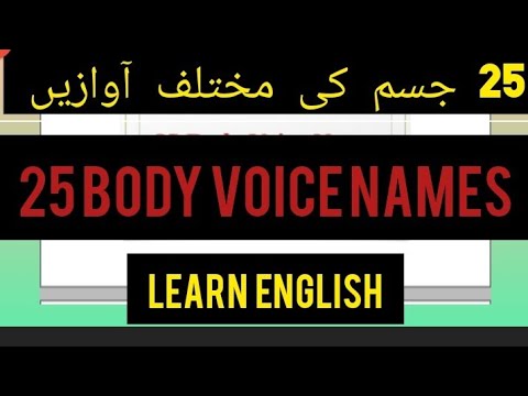 25 body Voice Names - YouTube