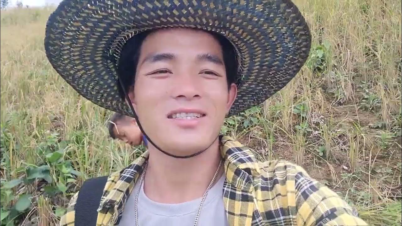 hnub no rov qab mu hlai nplej dua os - YouTube