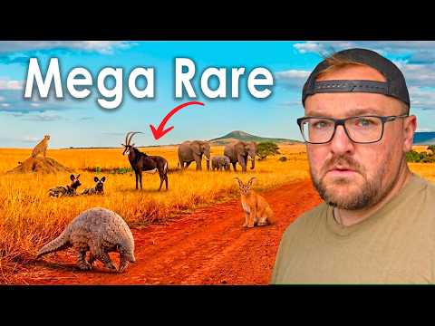 I Tracked Down South Africa's Rarest Animals
