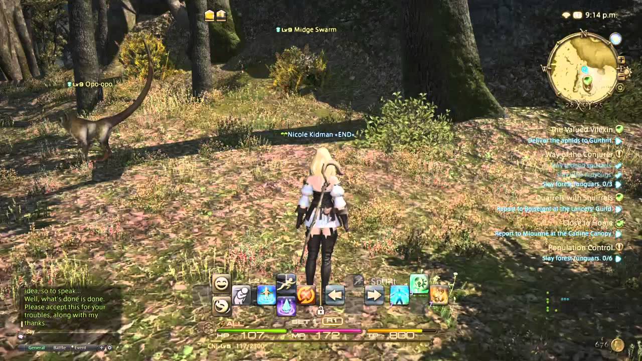FINAL FANTASY XIV: A Realm Reborn - Quarrels with Squirrels - YouTube