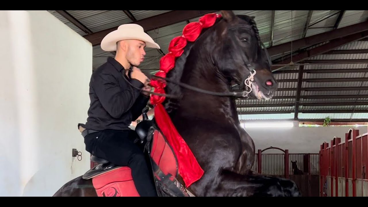 Navegando - Kevin London (Video Oficial) Corrido Tumbado - YouTube