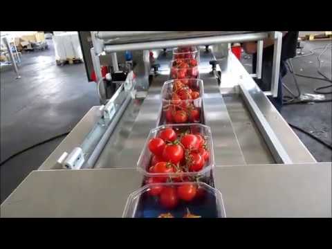 Flowpack machine IPS FAR60 for tomato trays - YouTube