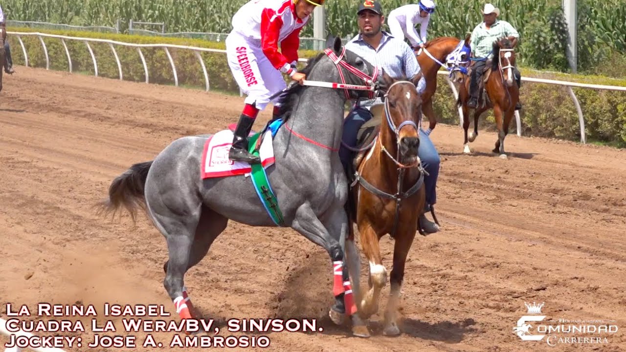 El Lobo 🐺🔥. Derby Clasico 2023. Fresno Hipodromo, SIN. - YouTube