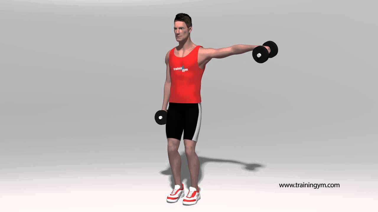 Elevación lateral a una mano con mancuerna - YouTube