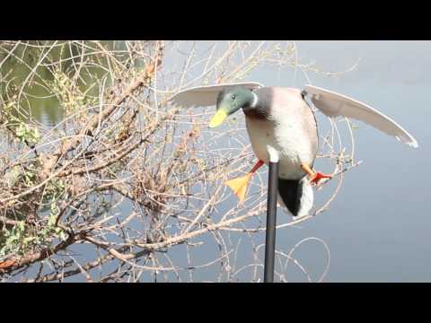 Flapping Wings Duck Decoy - YouTube