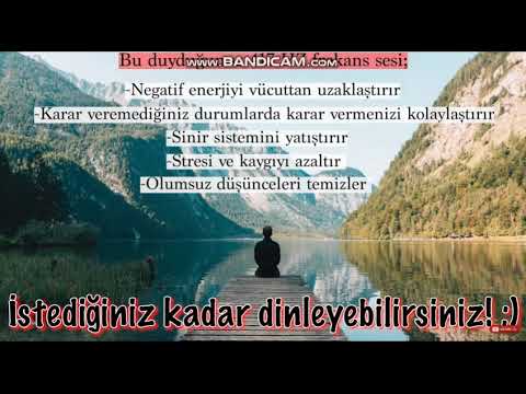 Berk Coşkuns Entspannungstherapie