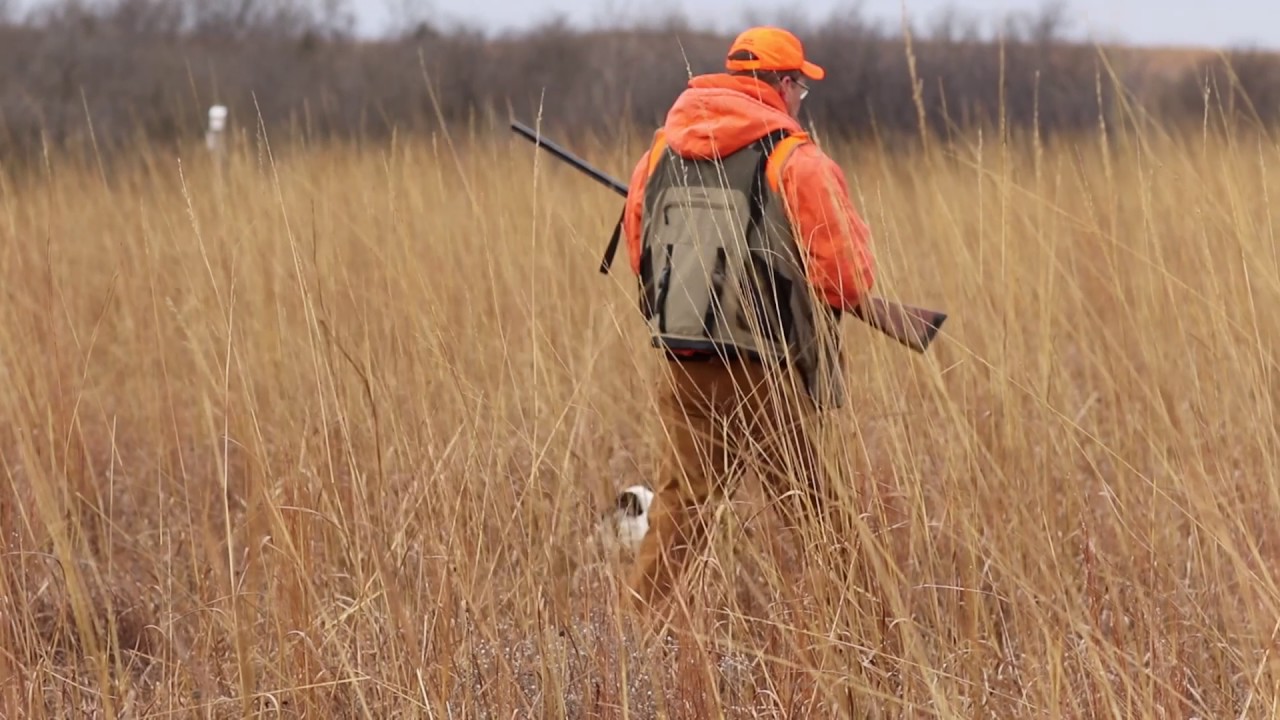 A Kansas Pheasant Hunting Lodge = Scattered Acres Outfitting - YouTube