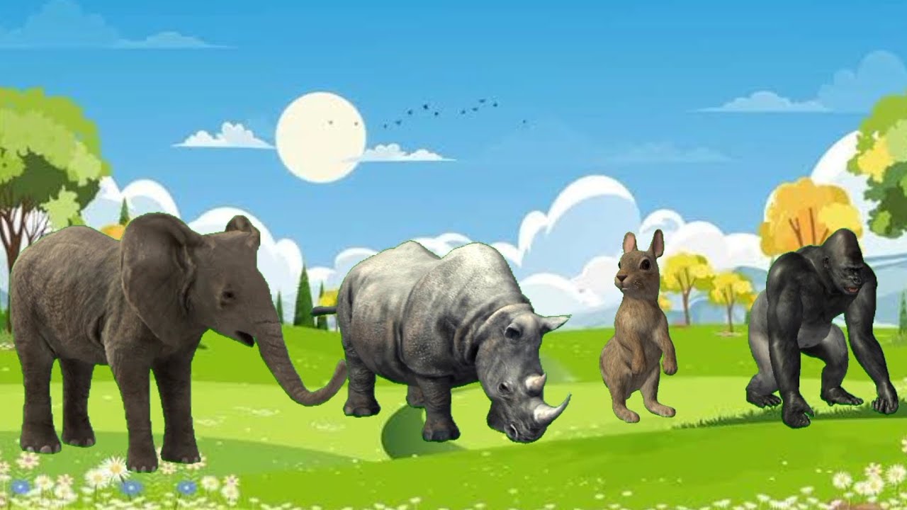 3D Animal Animations | Animations Funny Elephant,Buffalow,Gorilla,Bunny ...