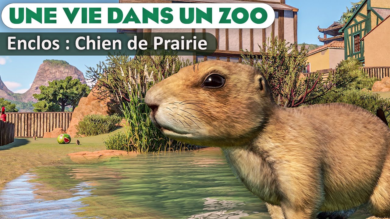 Habitat des Chiens de Prairie à queue noire | ÉPISODE 103 | PLANET ZOO ...