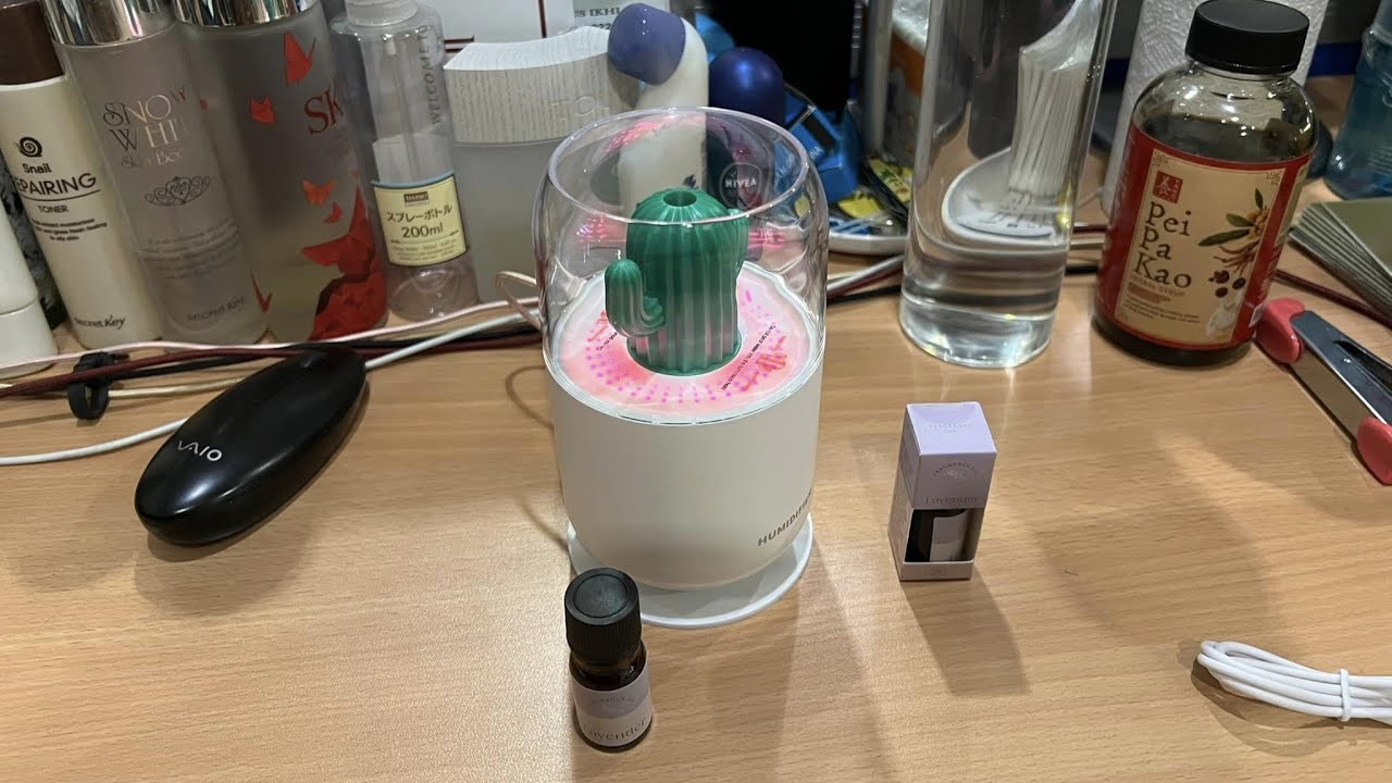 Kaison Cactus Humidifier #kaison #malaysia #Cactus #humidifer - YouTube