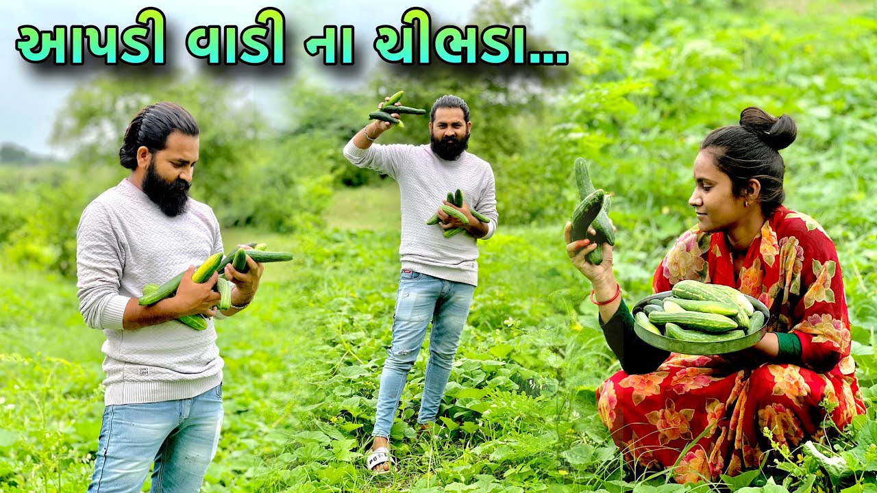 આપડી વાડી ના ચીભડા… | Aapdi vadi na chibhada - YouTube