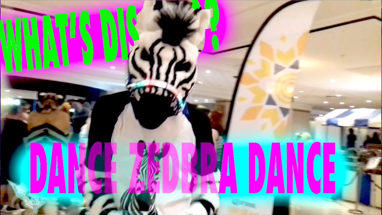 Confuzzled 2017 Dance Zedbra Dance Meme OwO - YouTube