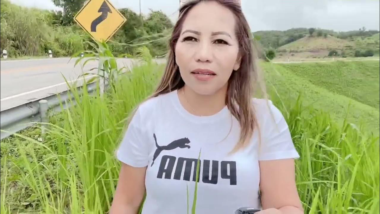 Mus xyuas zos Hmoob Thaib teb - YouTube