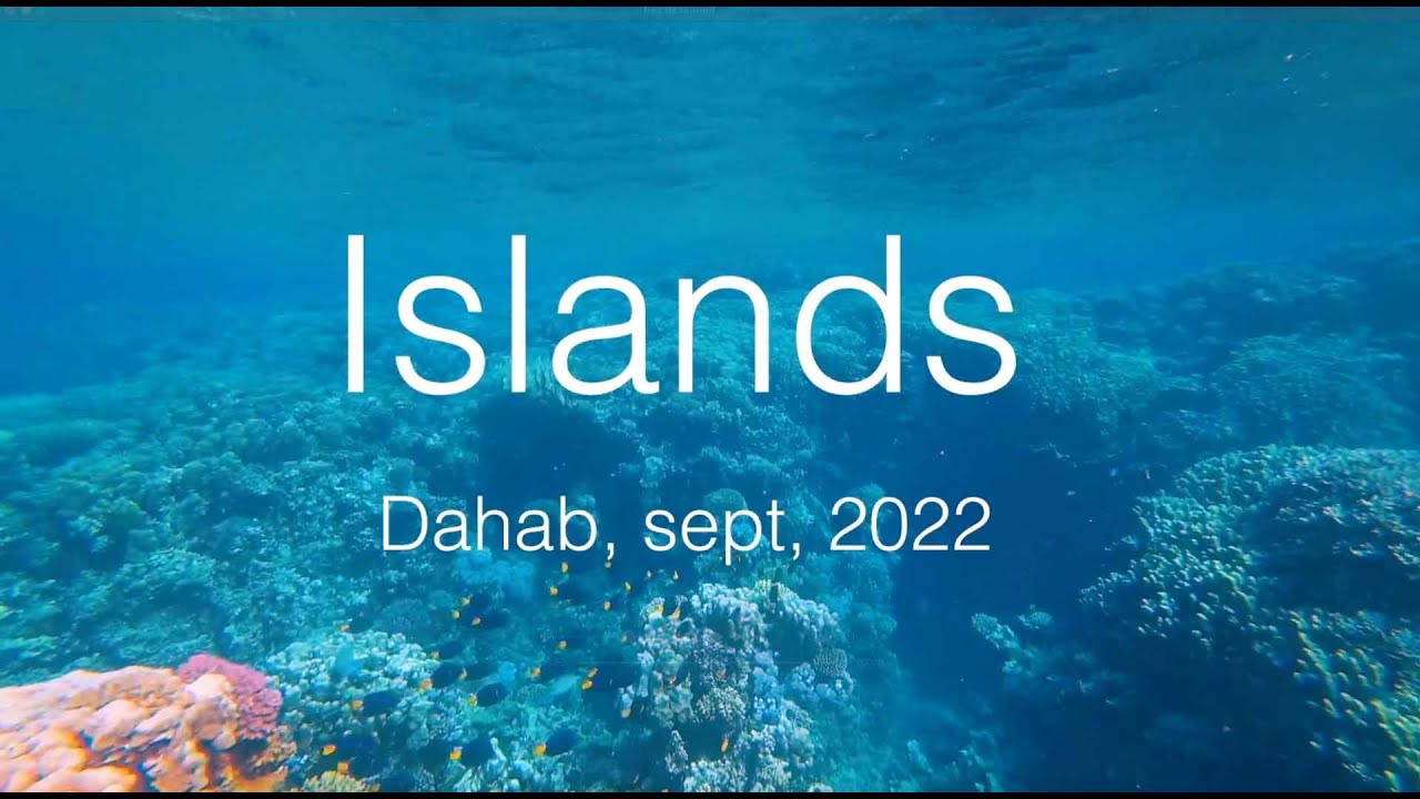 Dahab, red sea. Islands dive site. Snorkeling. Diving. Egypt. 2022 ...