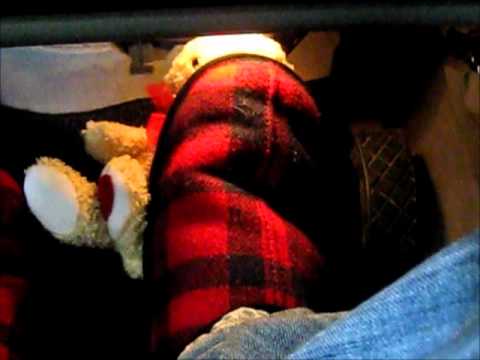 Teddy Bear Strapped to Pedal and Crushed - YouTube