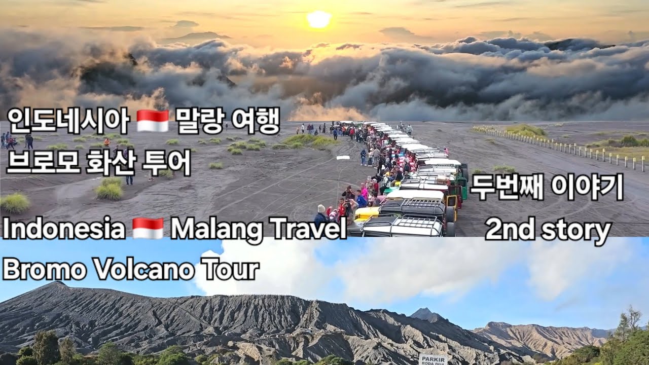 🇮🇩ep163 인도네시아 브로모 화산 투어 완전정복 말랑 출발 Complete tour of Bromo Volcano in Indonesia from Malang # ...