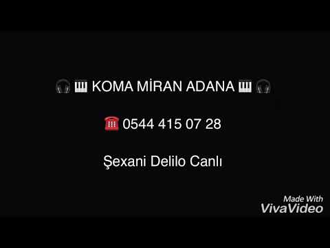 KOMA MİRAN ADANA 2018 Canlı Şexani Delilo İLETİŞİM: 0544 415 07 28