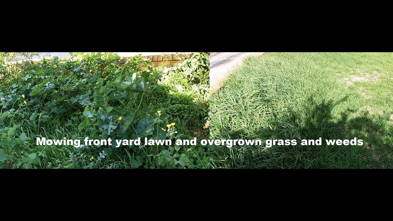 Mowing overgrown lawn in front yard in Winter - YouTube