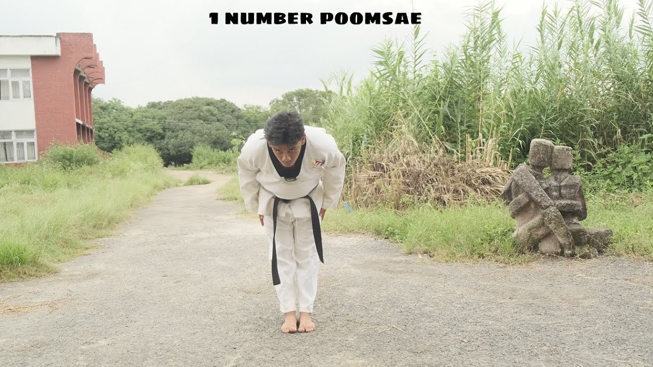 Poomsae 1 to 8 Video Lesson - YouTube
