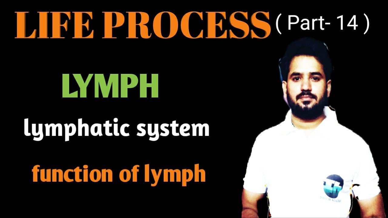 lymph and its function class 10th cbse//ncert - YouTube