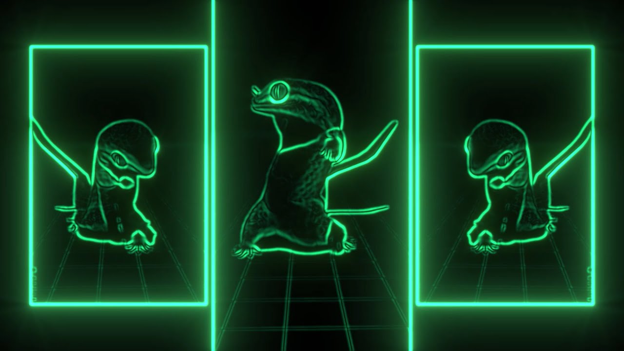 Lizard Dancing to Lady Hear Me Tonight Vocoded To Miss The Rage - YouTube