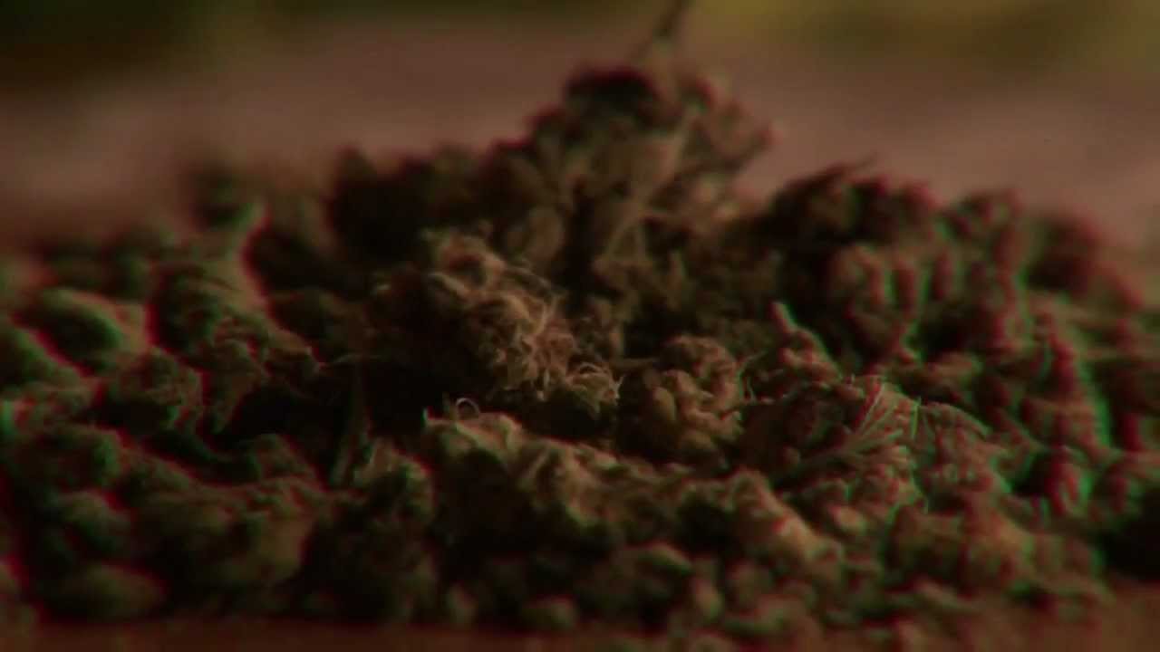 Hemp Gru - [Dr Joint] -Amsterdam/Netherlands - YouTube