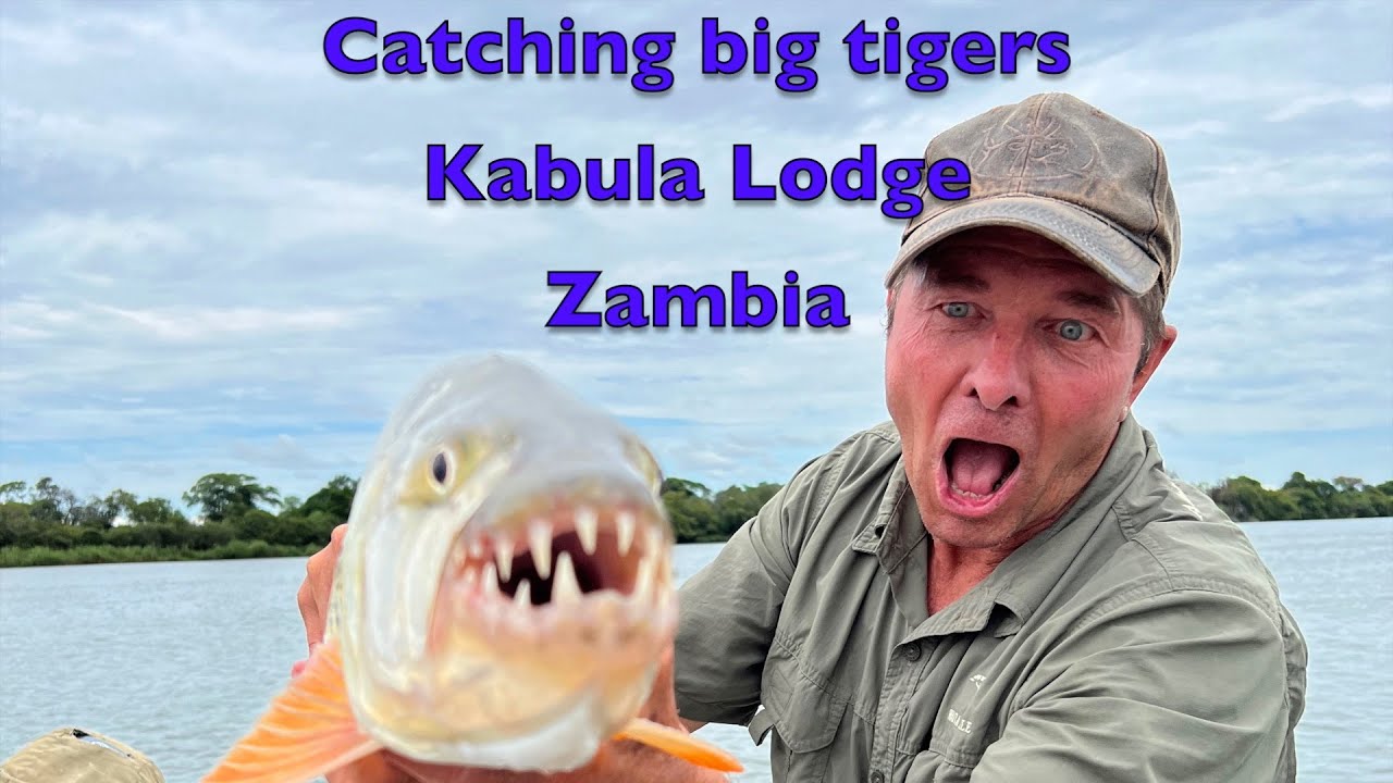Kabula Lodge Zambia best Tiger Fishing on the Zambezi - YouTube