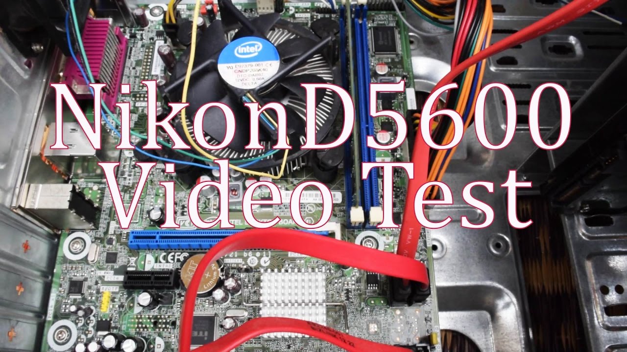 Nikon D5600 Sample Test Video - indoor ( ISO -100) with 18-55 Lens ...