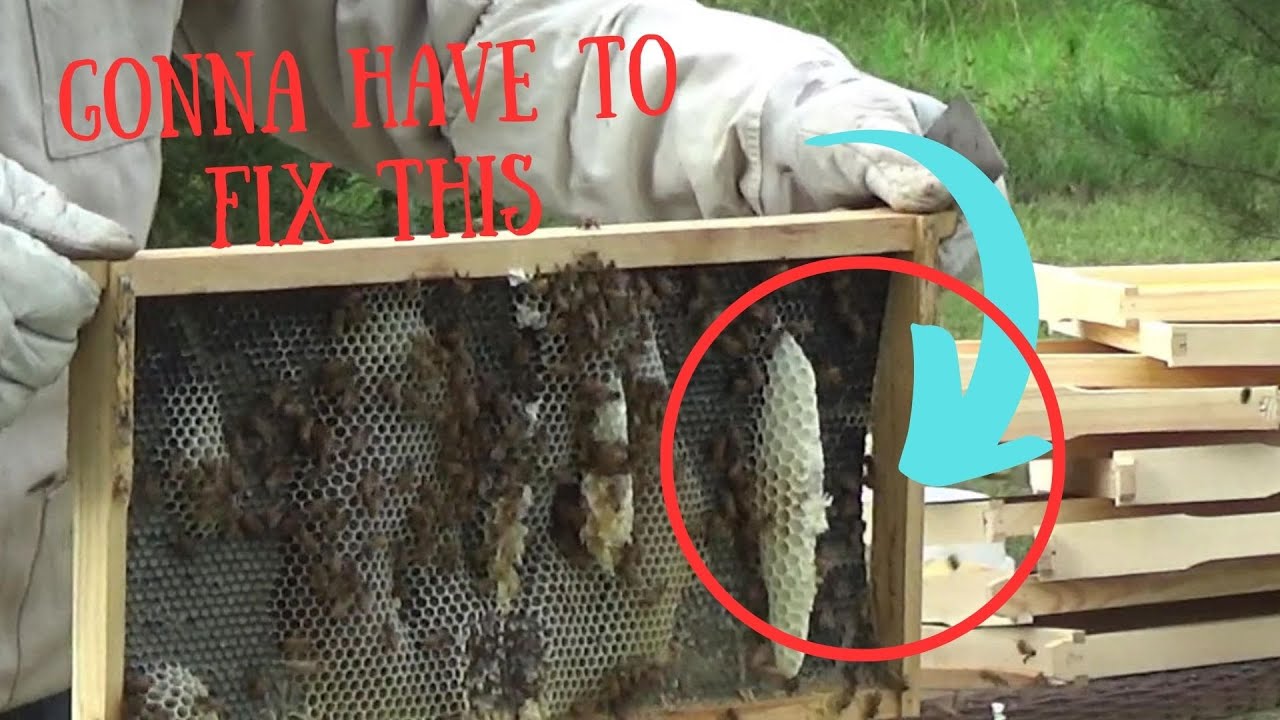 Trying to get this beehive right. Using advice I got from comments on ...