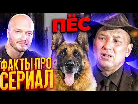 Сериал Пёс - самые интересные факты