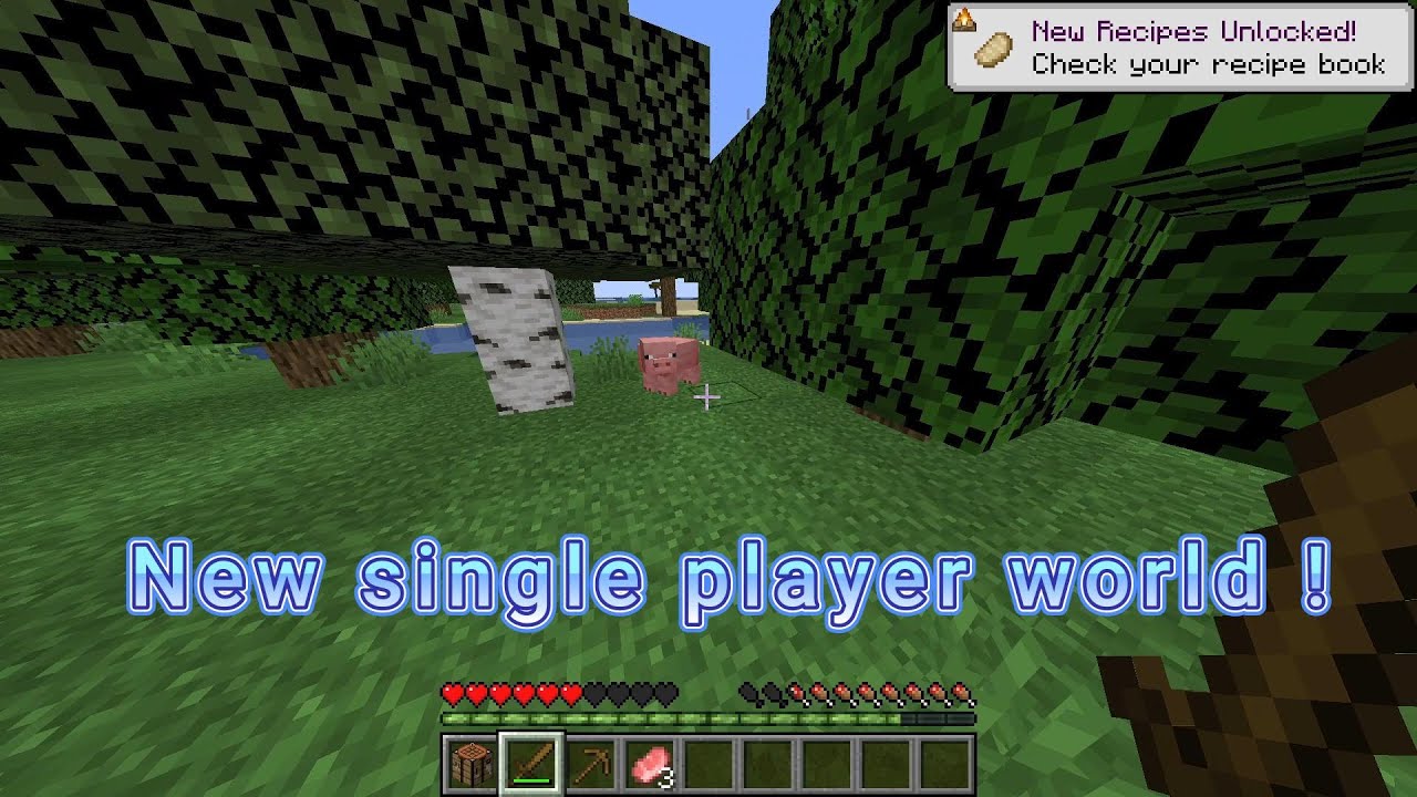 Playing Minecraft in new single player sever ! - YouTube