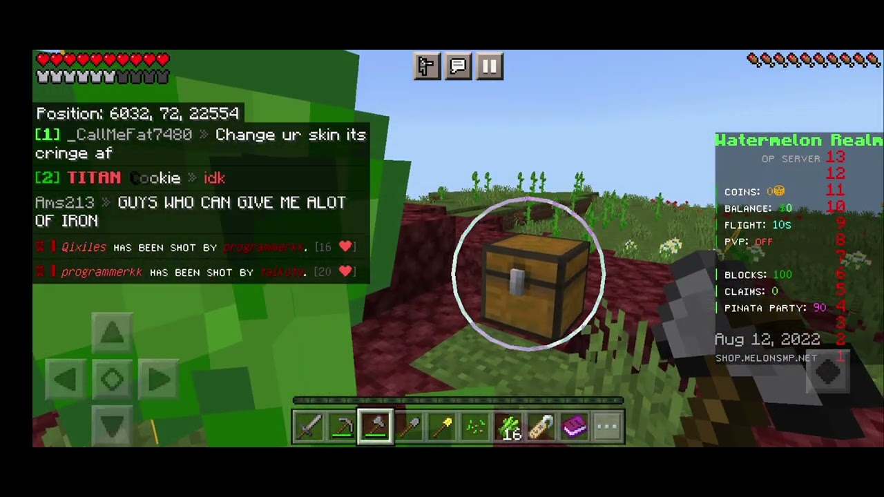 Minecraft Melon smp!!! (episode 1) - YouTube