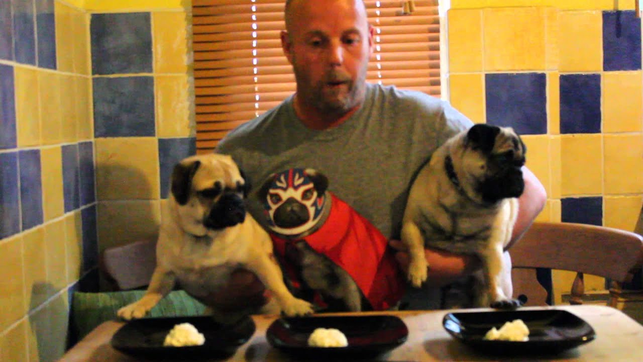 Man vs Pugs 2. Doug's Birthday - YouTube