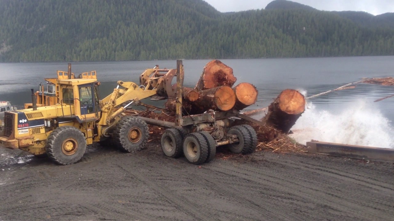 Short Log Dump Compilation Pacific P16 - YouTube