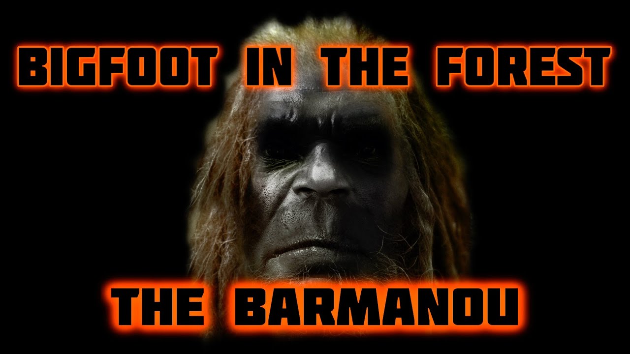 BIGFOOT IN THE FOREST - THE BARMANOU - YouTube