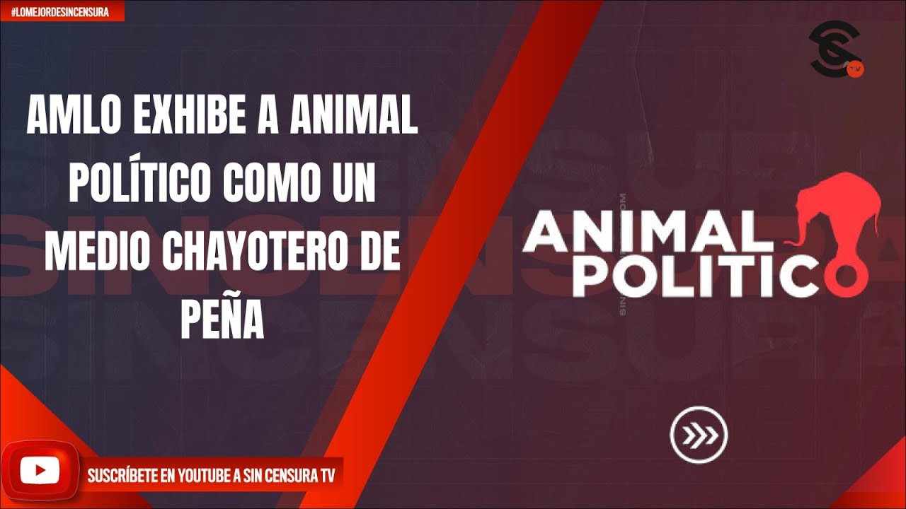 AMLO EXHIBE A ANIMAL POLÍTICO COMO UN MEDIO CHAYOTERO DE PEÑA - YouTube