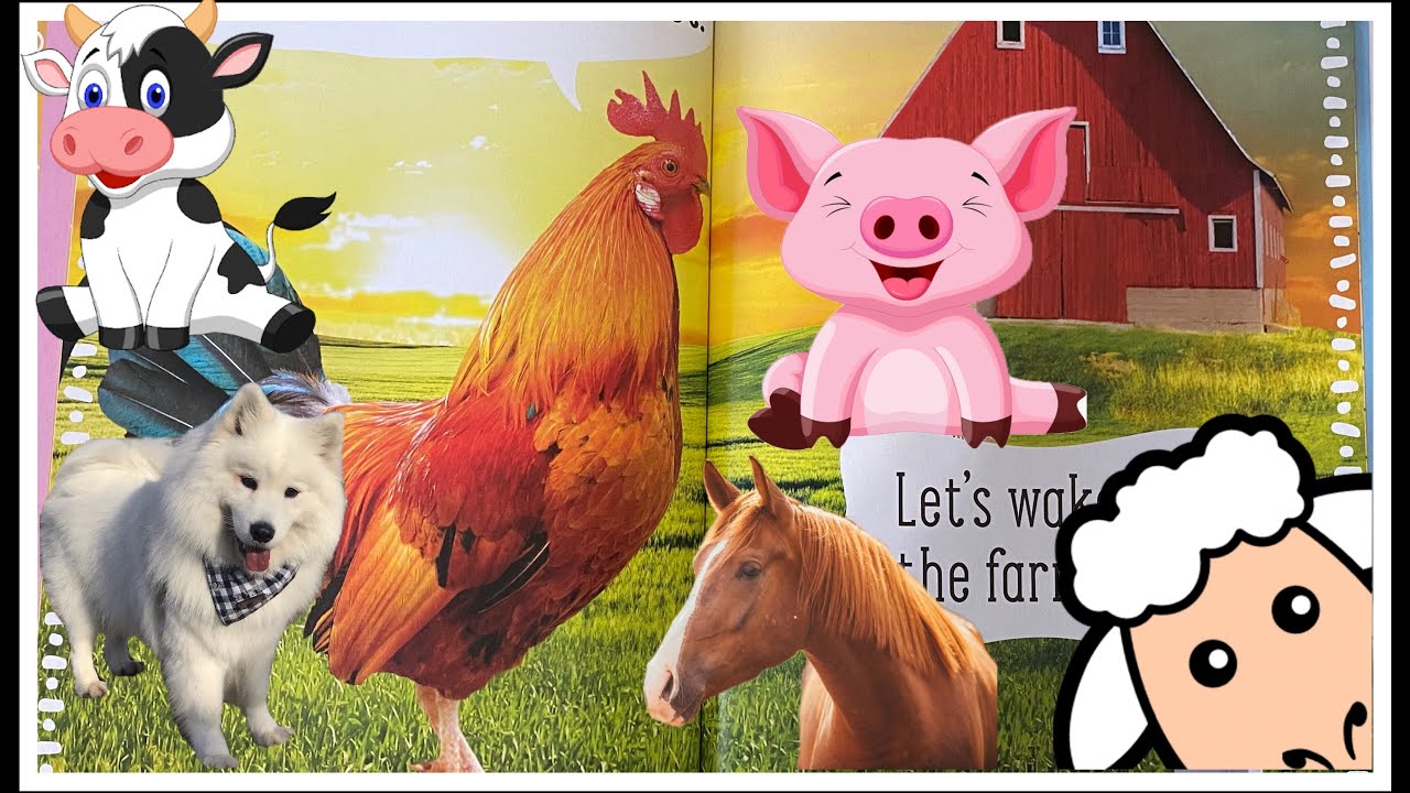 Farm animals book read aloud📘📚farm animals book 📕 Coco creative kids ...