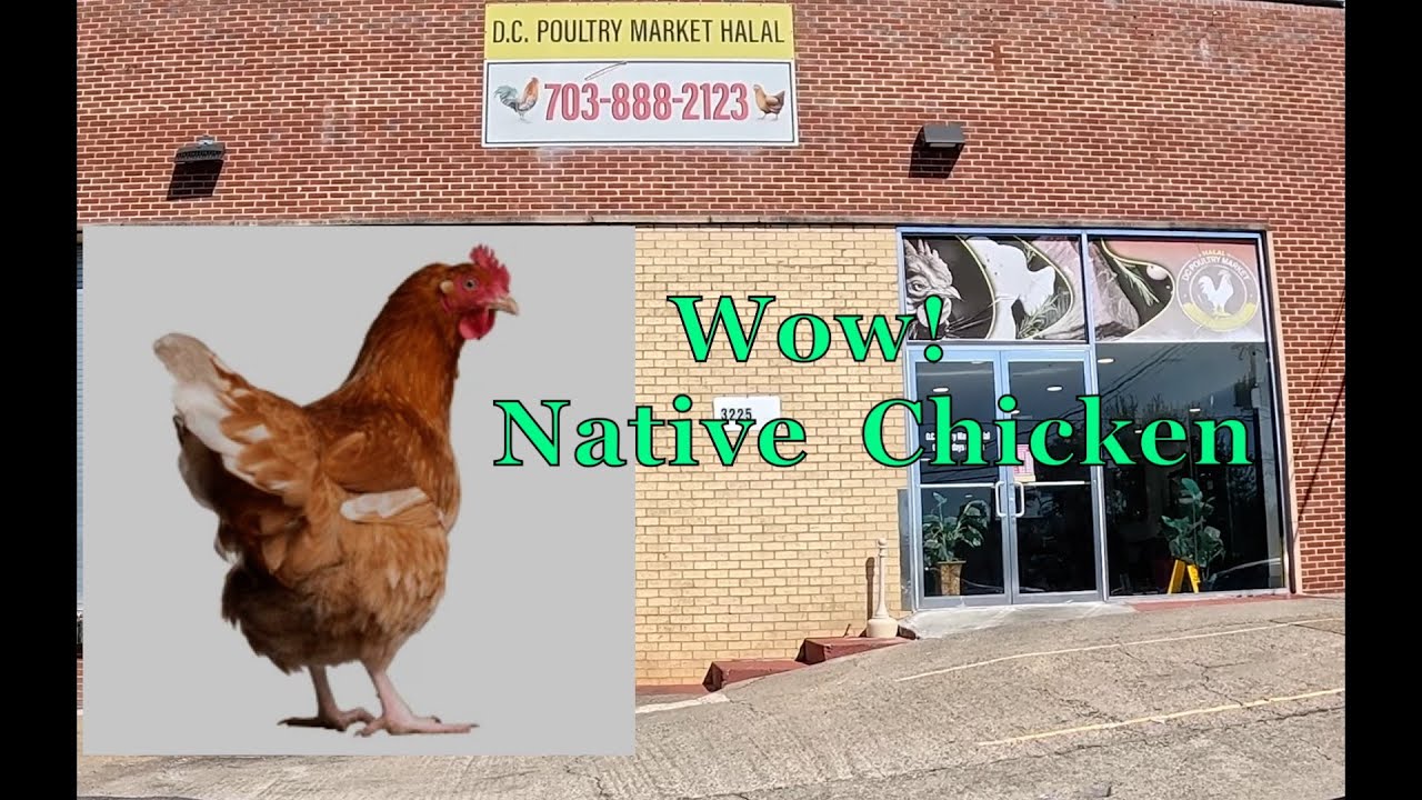 Native Chicken Market/Quick Tour - YouTube
