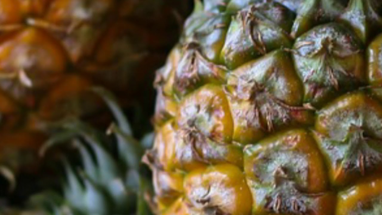 Hmoob Kuab Tshuaj, Lub Txiv Puv Luj / Pineapple - YouTube