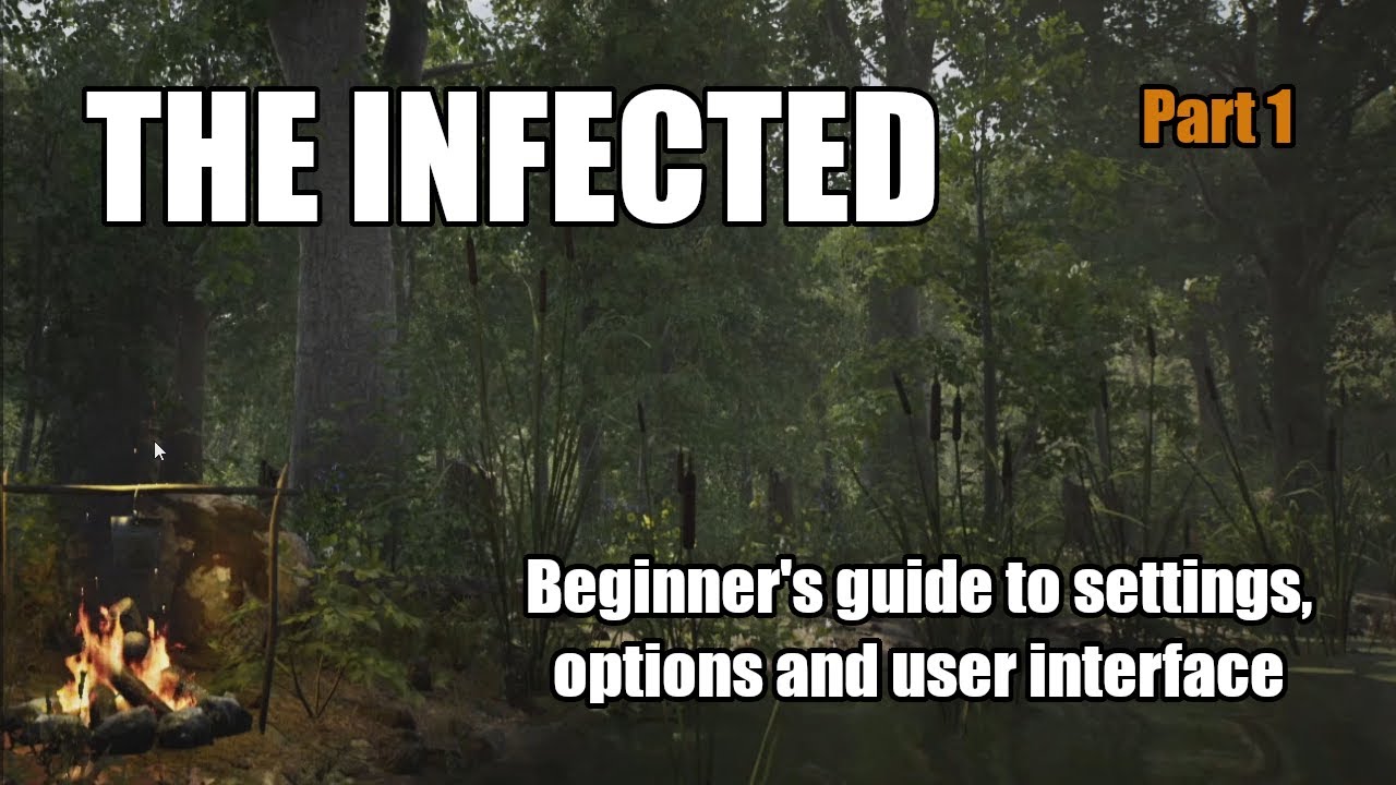 The Infected Beginner's Guide Part 1: Settings, options and user ...